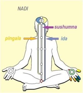 Equilibrio Ida Pingala - Sanacion Pranica Violeta